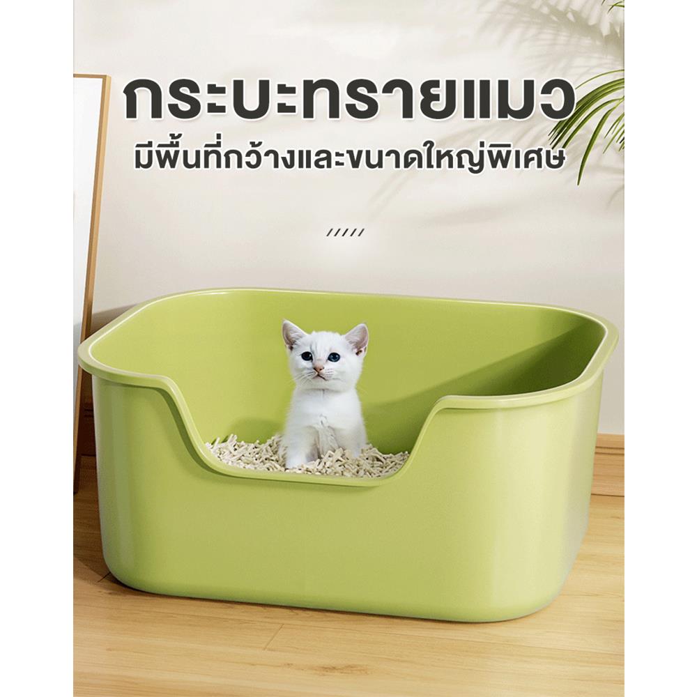 กระบะทรายแมว PETUS 50x40 ซม. สีเขียว
